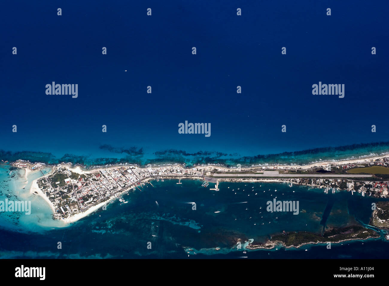 cancun mexico climate ecology ecosystem environment environmentalism ...