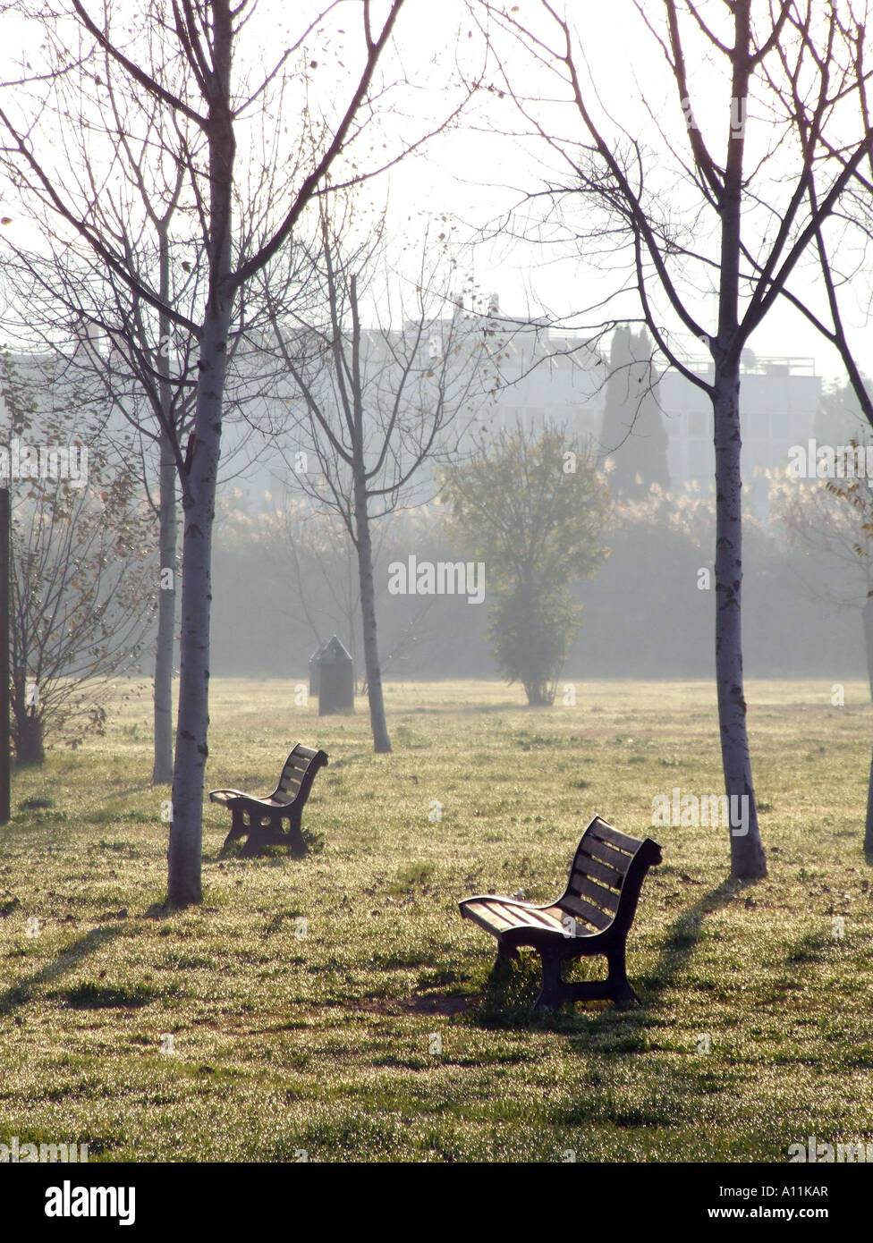 two benches in park Stock Photo - Alamy