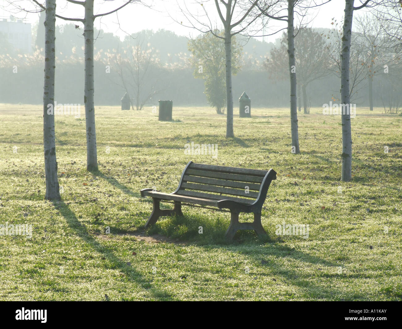 one bench in park Stock Photo - Alamy