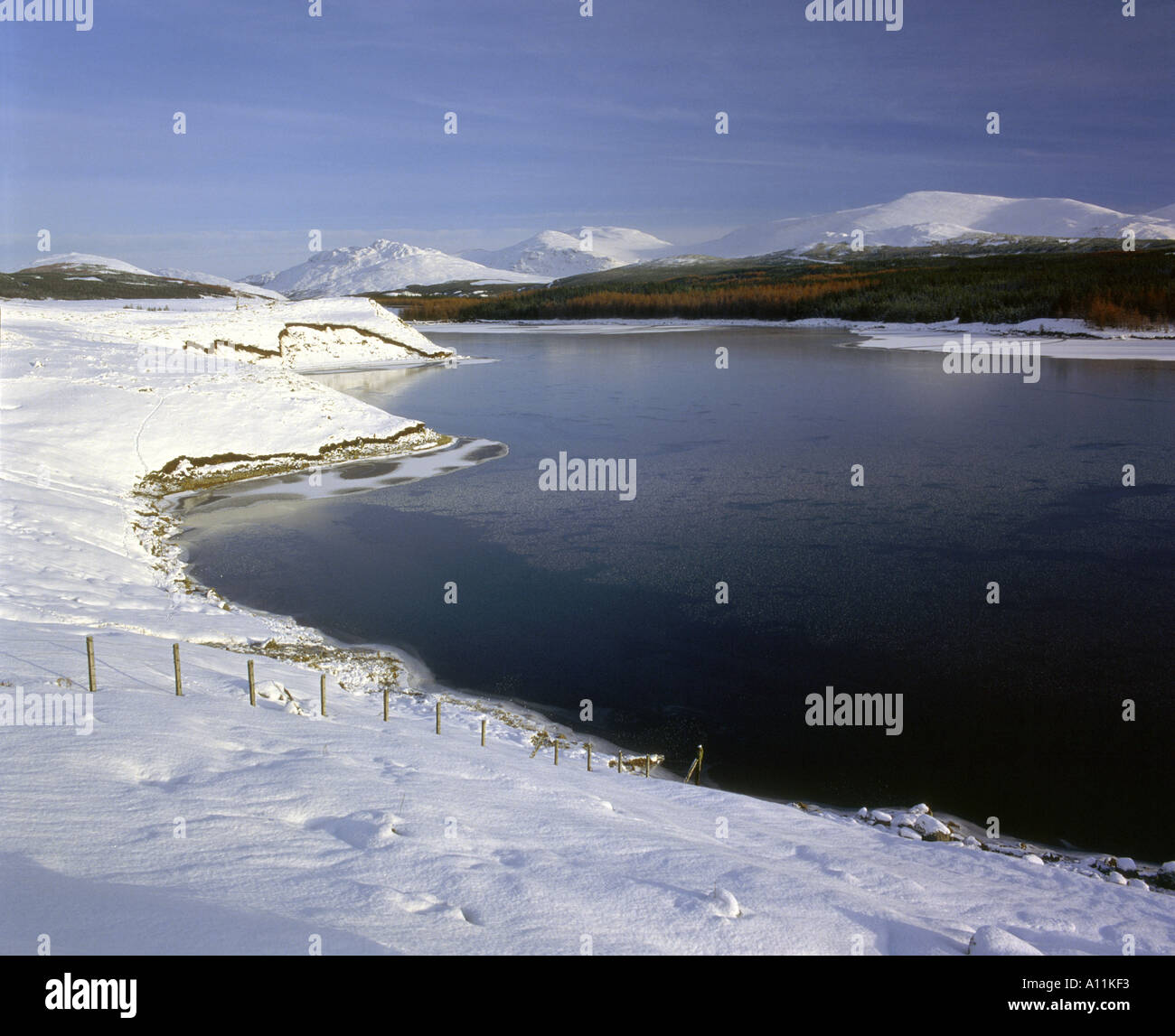 Kinlochlaggan scotland hi-res stock photography and images - Alamy