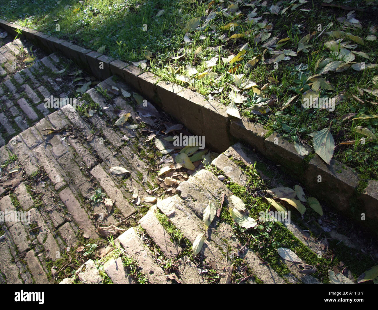 foot path in park Stock Photo - Alamy