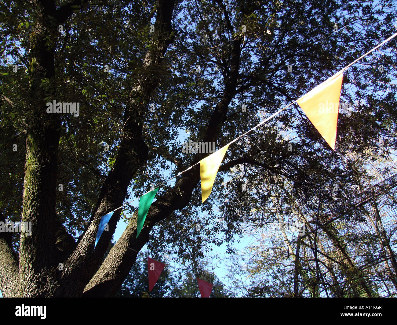 carnival bunting flags Stock Photo - Alamy
