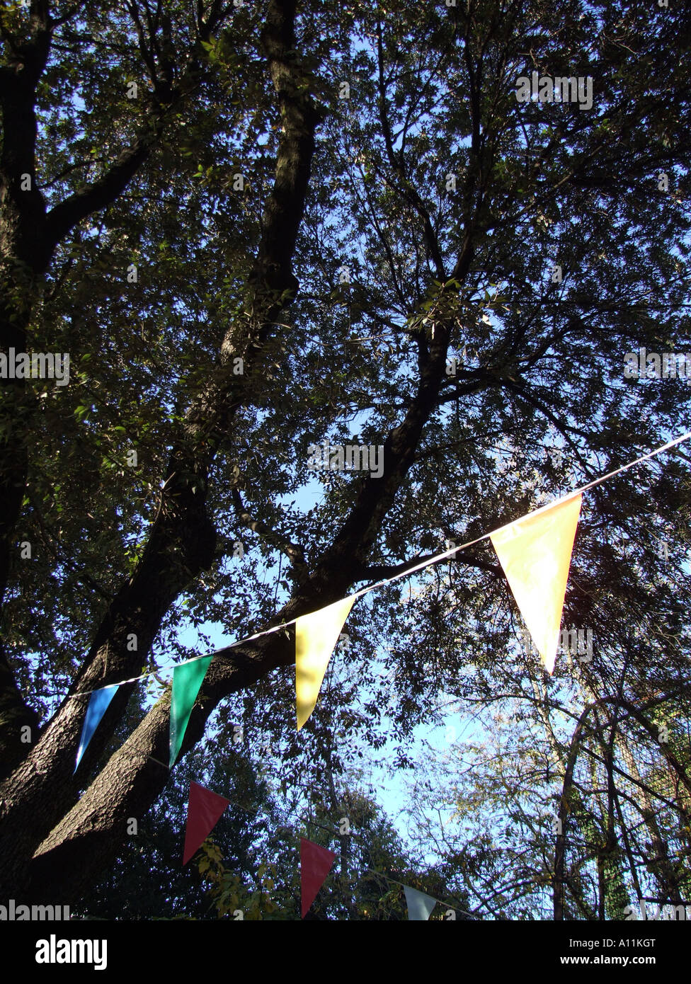 carnival bunting flags Stock Photo - Alamy