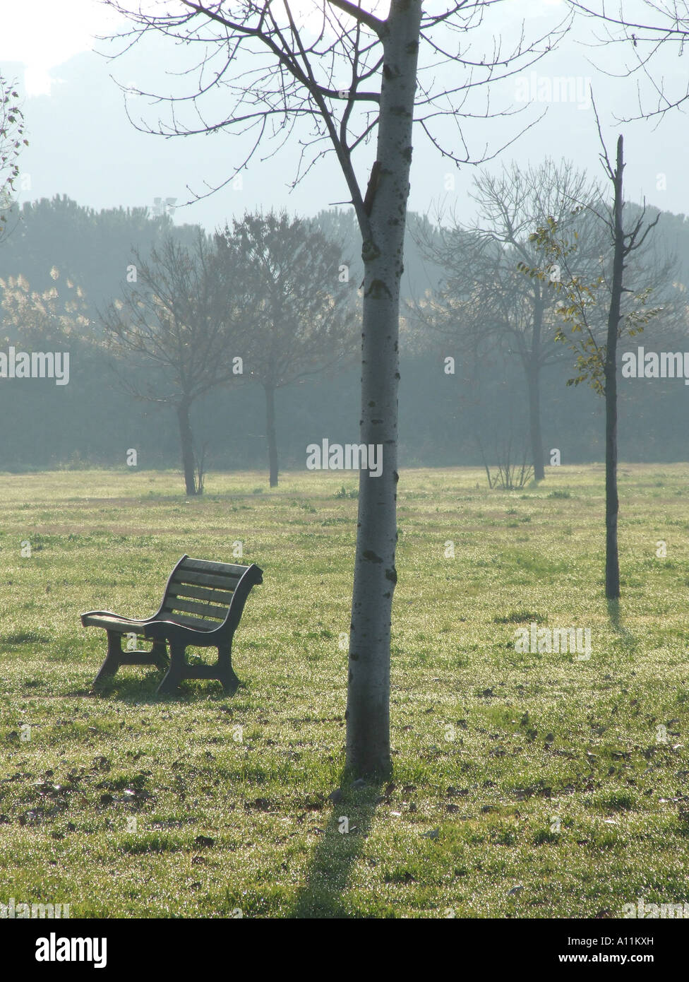 one bench in park Stock Photo - Alamy