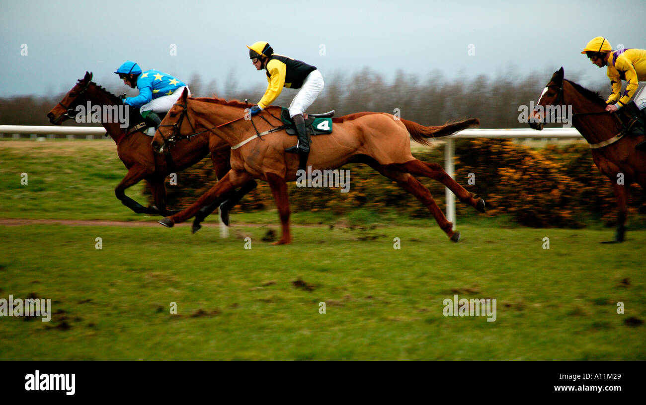 Horse racing at Musselburgh East Lothian Scotland race course Stock ...