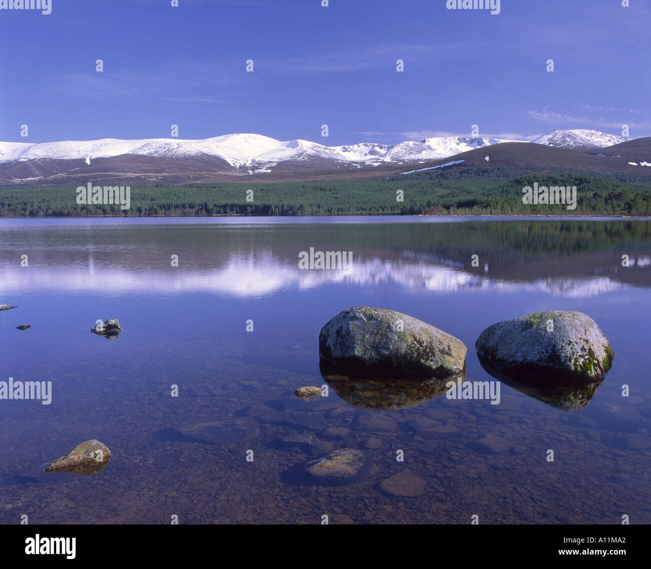 Loch Morlich Aviemore Stock Photo - Alamy