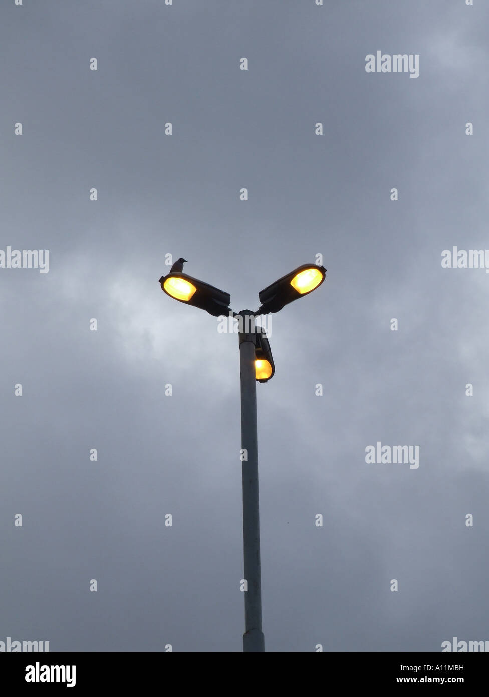 street lighting on and dramatic sky Stock Photo - Alamy