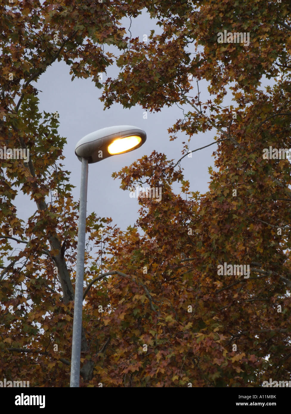 one street lamp Stock Photo - Alamy