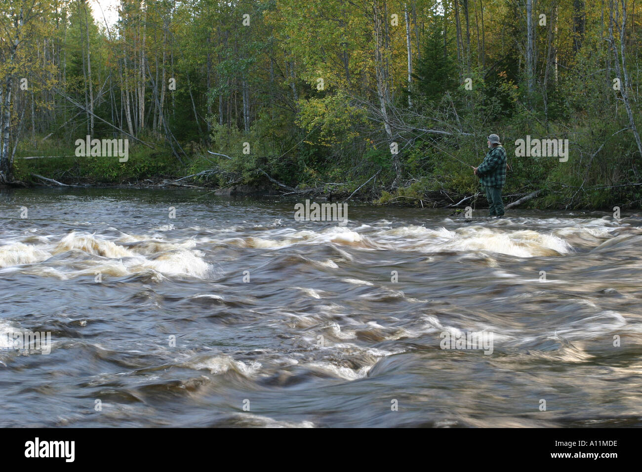 Fly fishing in a river Stock Photo - Alamy
