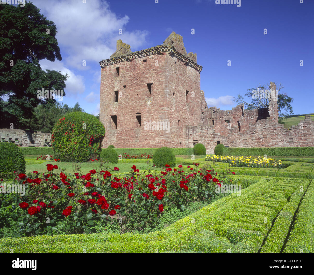 Edzell Castle Stock Photo - Alamy