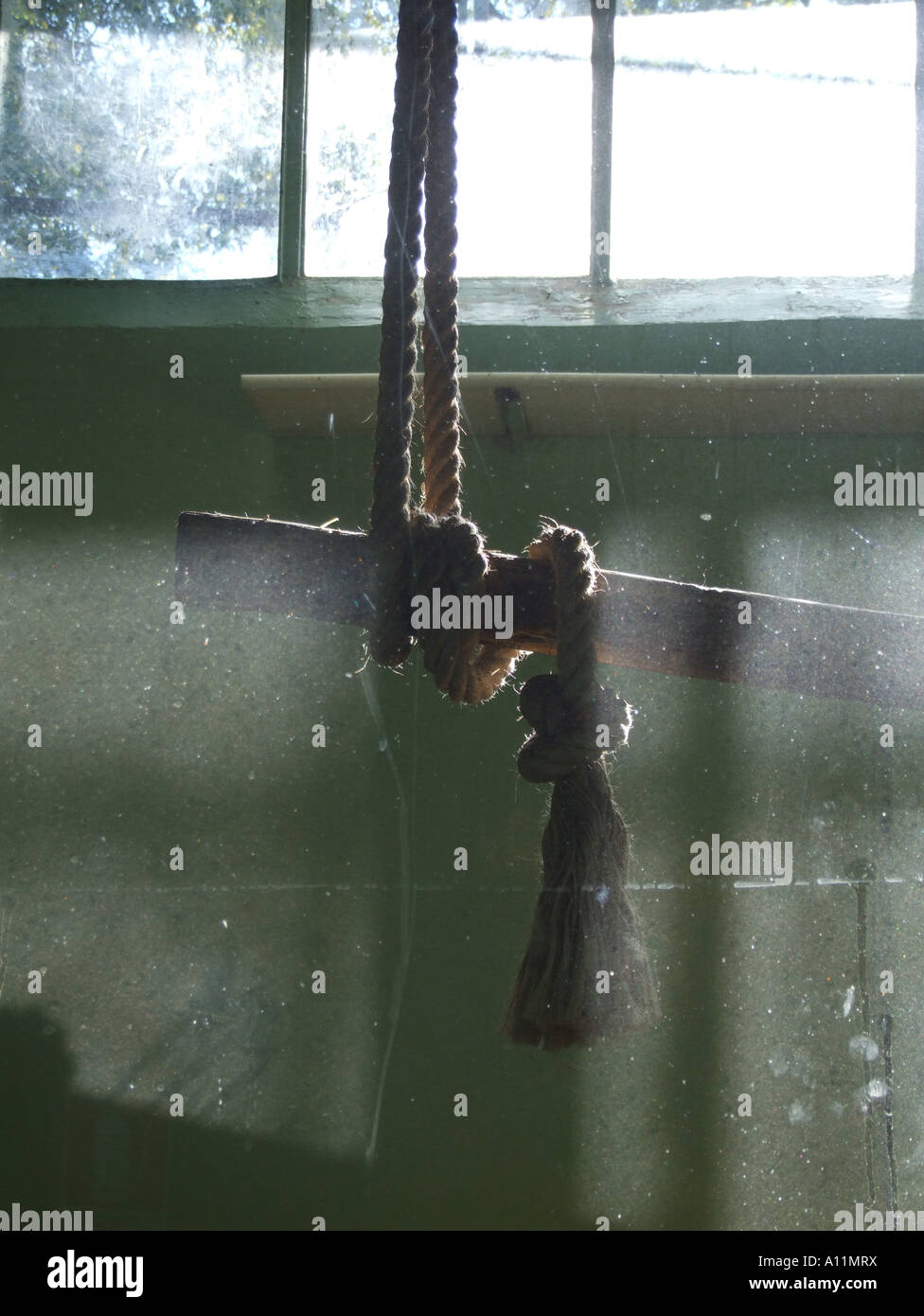 empty monkey enclosure at zoo in rome italy Stock Photo - Alamy