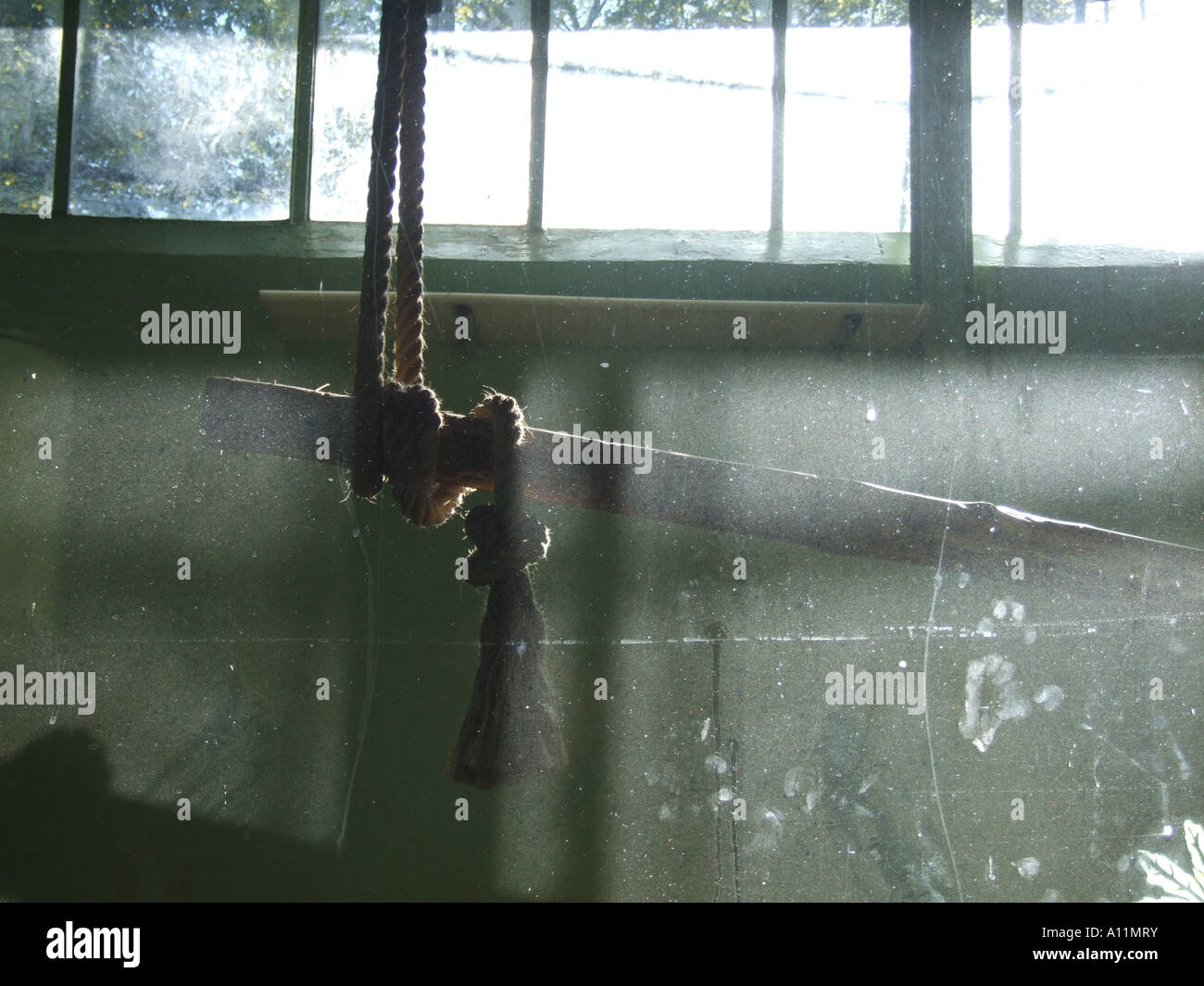empty monkey enclosure at zoo in rome italy Stock Photo - Alamy