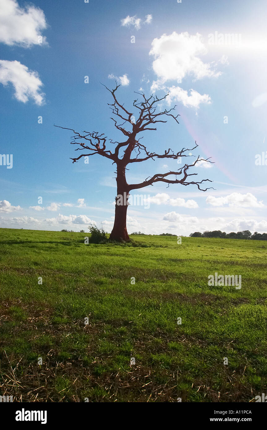 A dead tree that was planted bright red in a farmers field at Junction ...