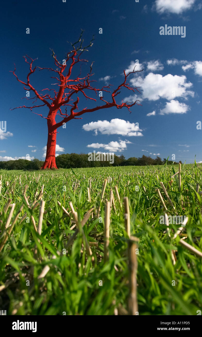 A dead tree that was planted bright red in a farmers field at Junction ...