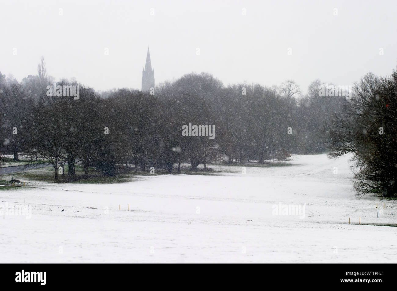 Redhill common hi-res stock photography and images - Alamy