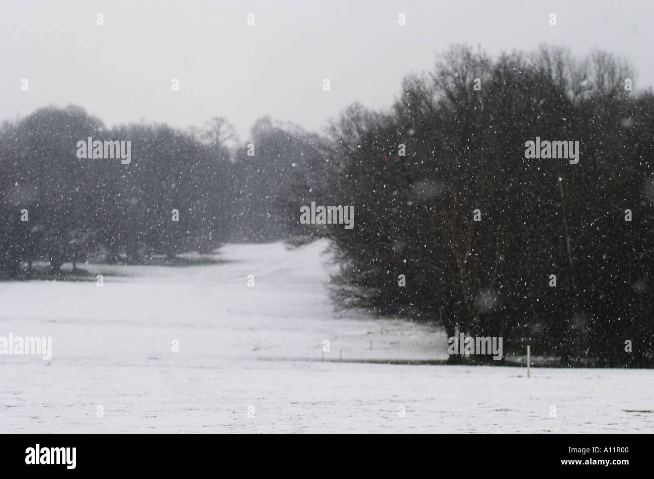 Redhill common hi-res stock photography and images - Alamy