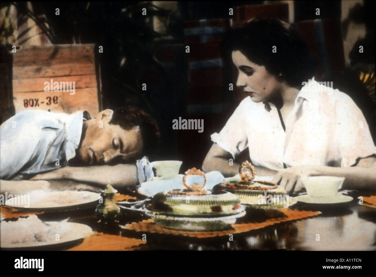 Elephant walk elizabeth taylor hi-res stock photography and images - Alamy