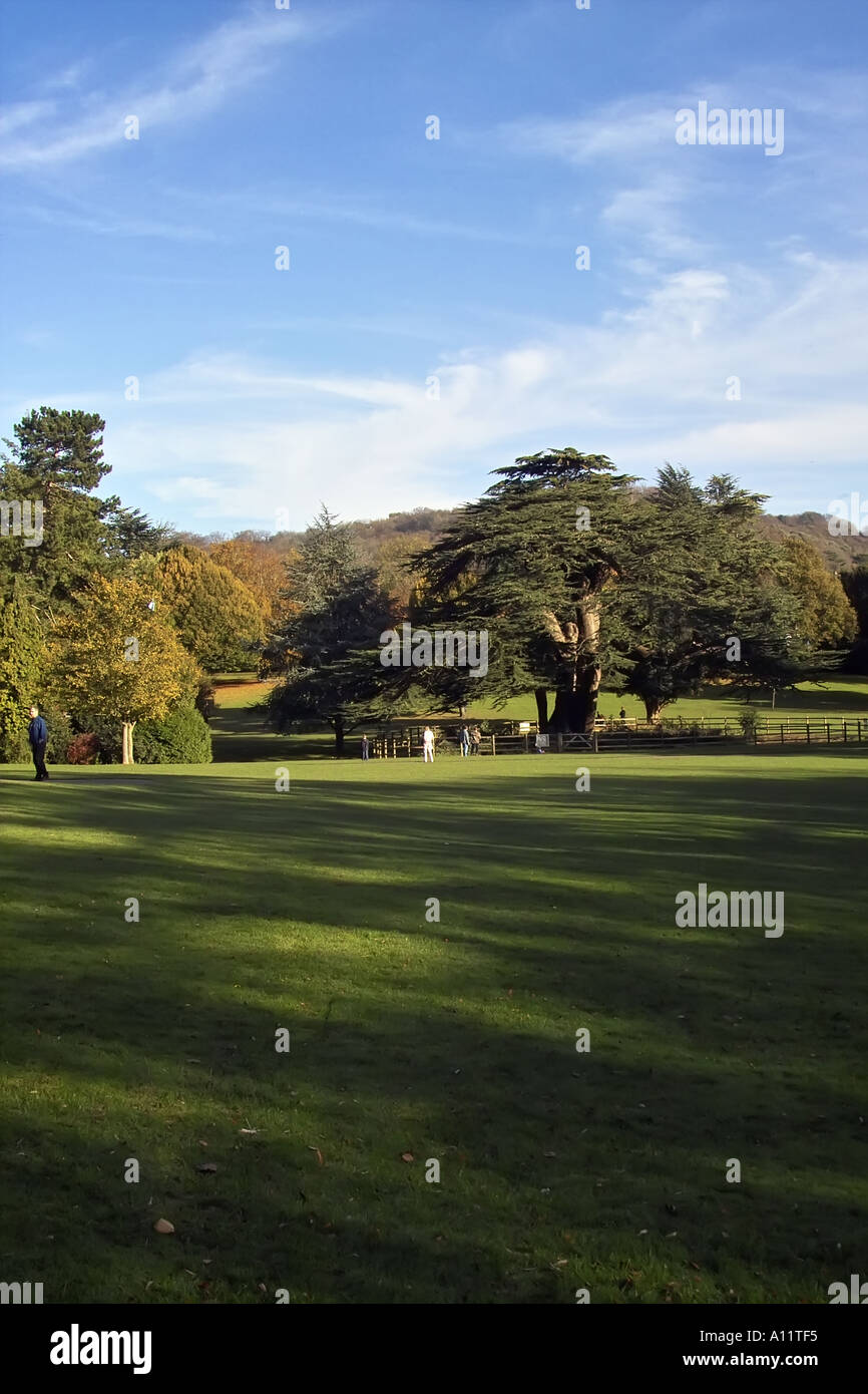 Kearsney park hi-res stock photography and images - Alamy