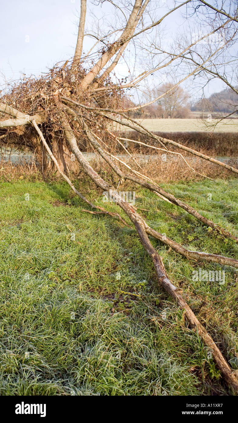 Winter Country Scene near West Chinnock, Somerset, England, UK Stock ...