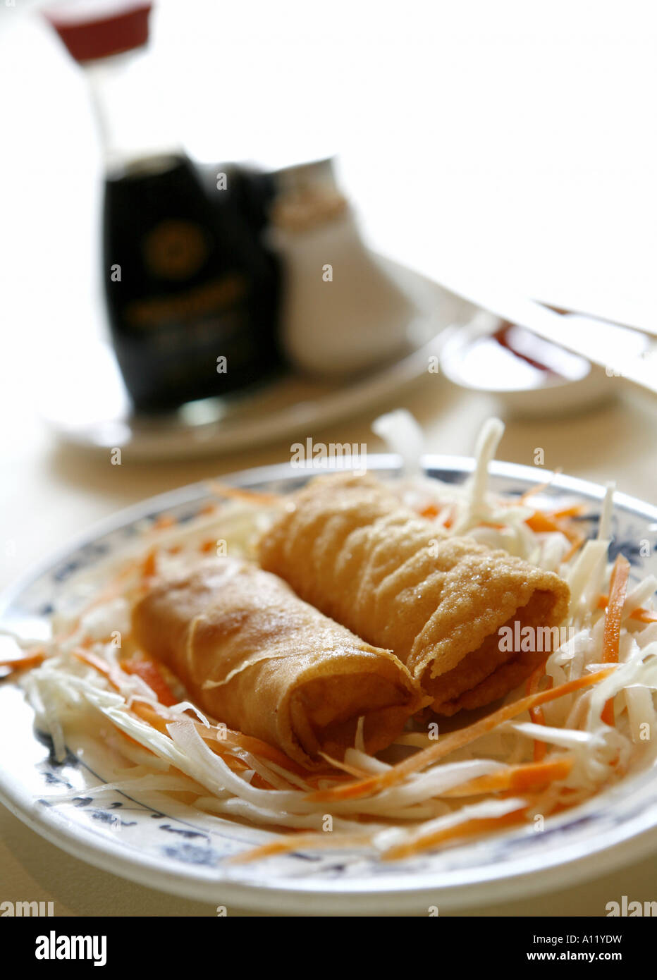 Chung Ying Garden chinese restaurant in the Chinese Quarter of ...
