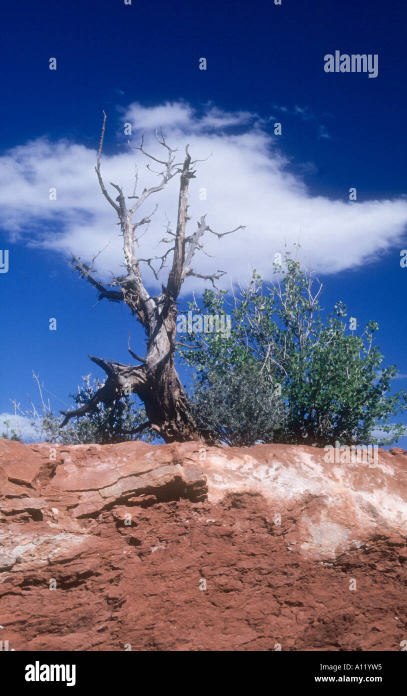 Npark hi-res stock photography and images - Alamy