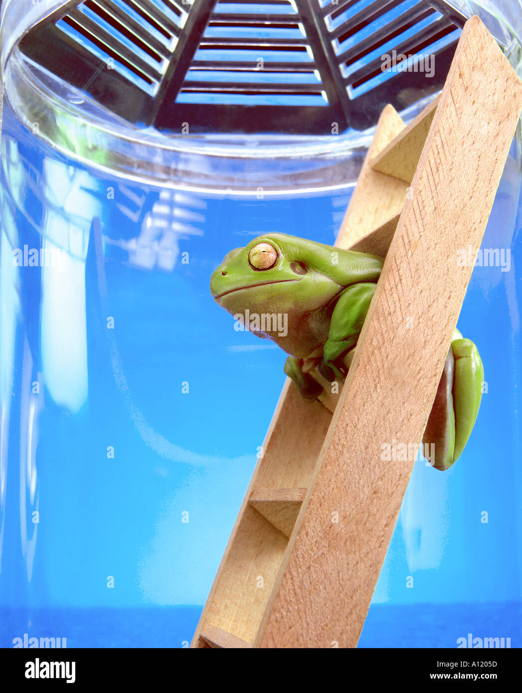 Weatherman frog ladder glass hi-res stock photography and images - Alamy