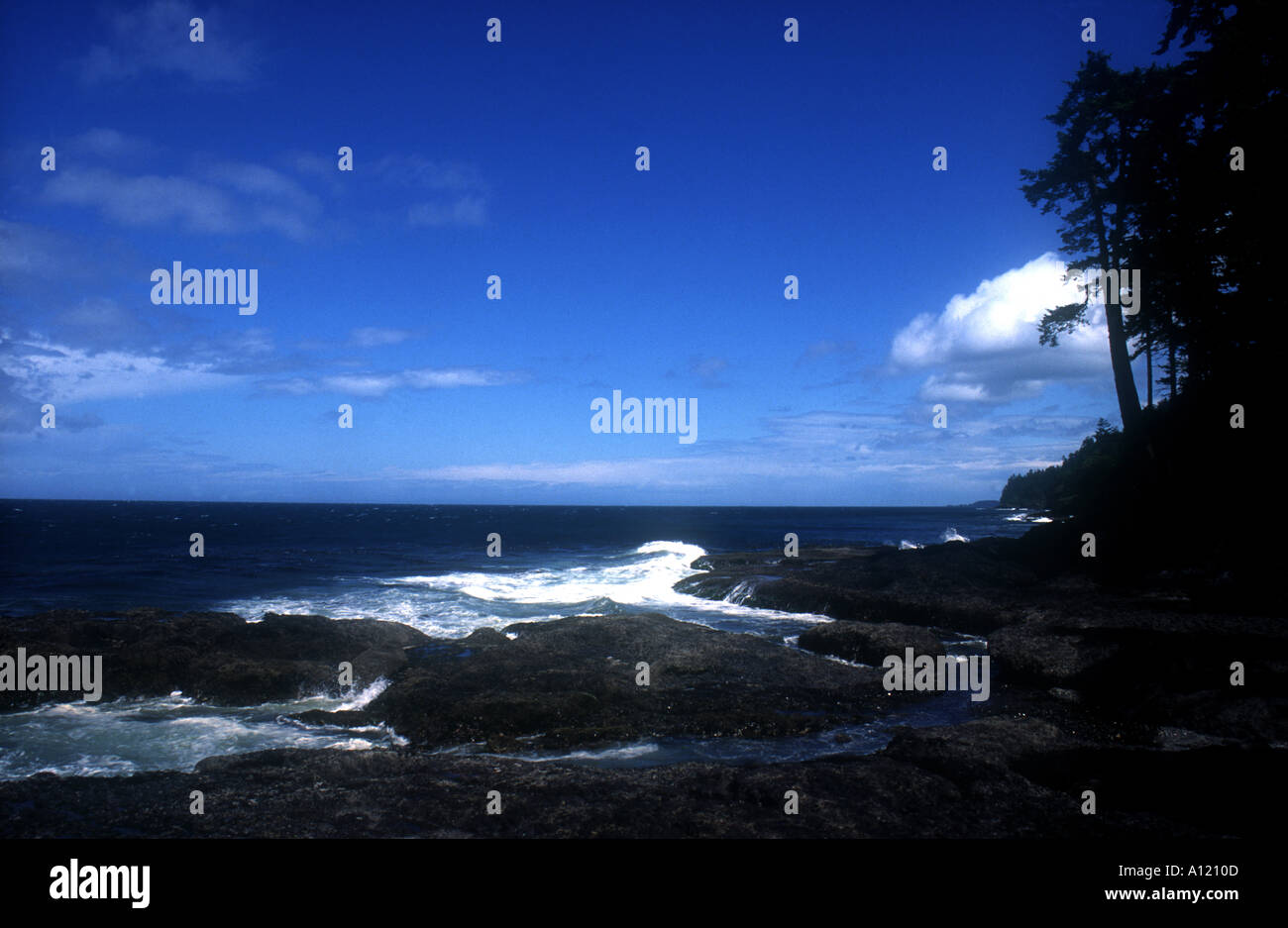 Tongue Point Washington Stock Photo - Alamy