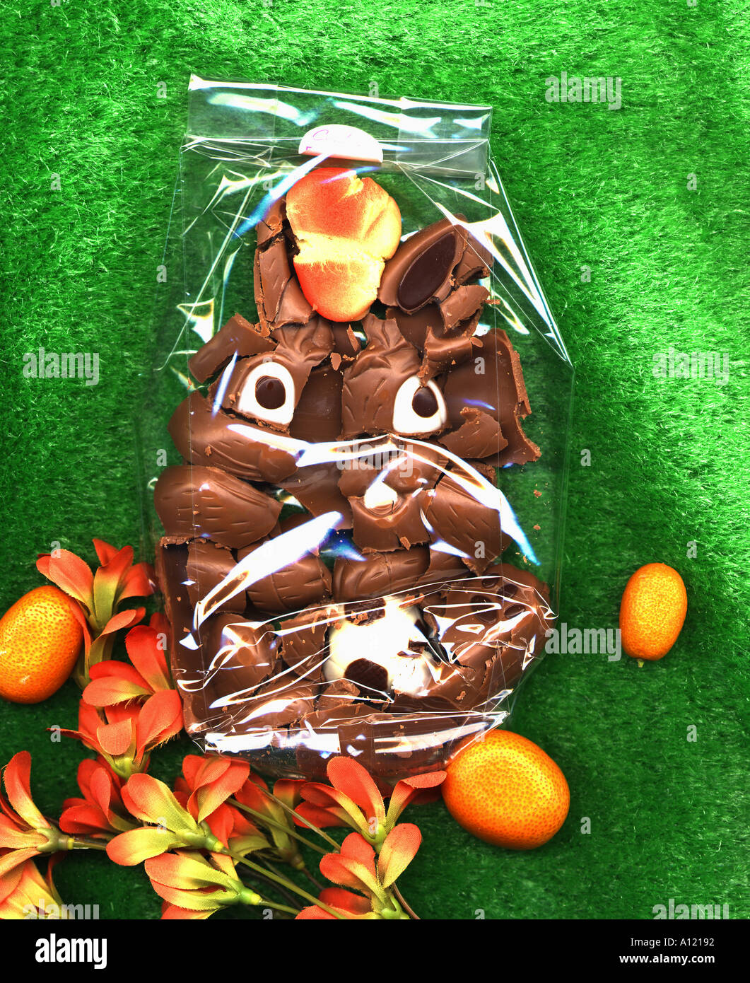 Crushed chocolate Easter bunny with eggs under scanner fabrik studios ...