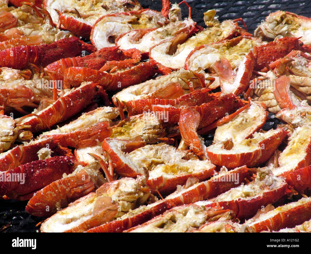 Lunch healthy eating color colourful cholesterol taste eating shellfish ...