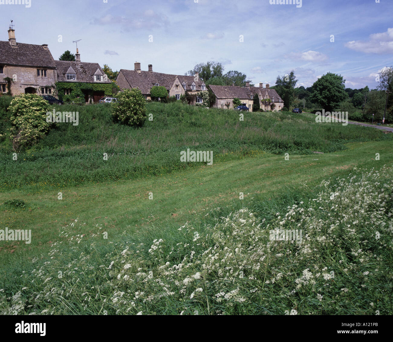 The village Green or Common with its wild flowers the Cotswold village ...