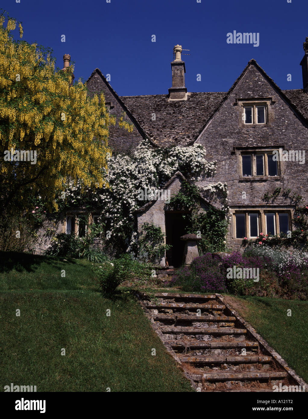 An old farmhouse with its Laburnum tree in the Cotswold village of ...