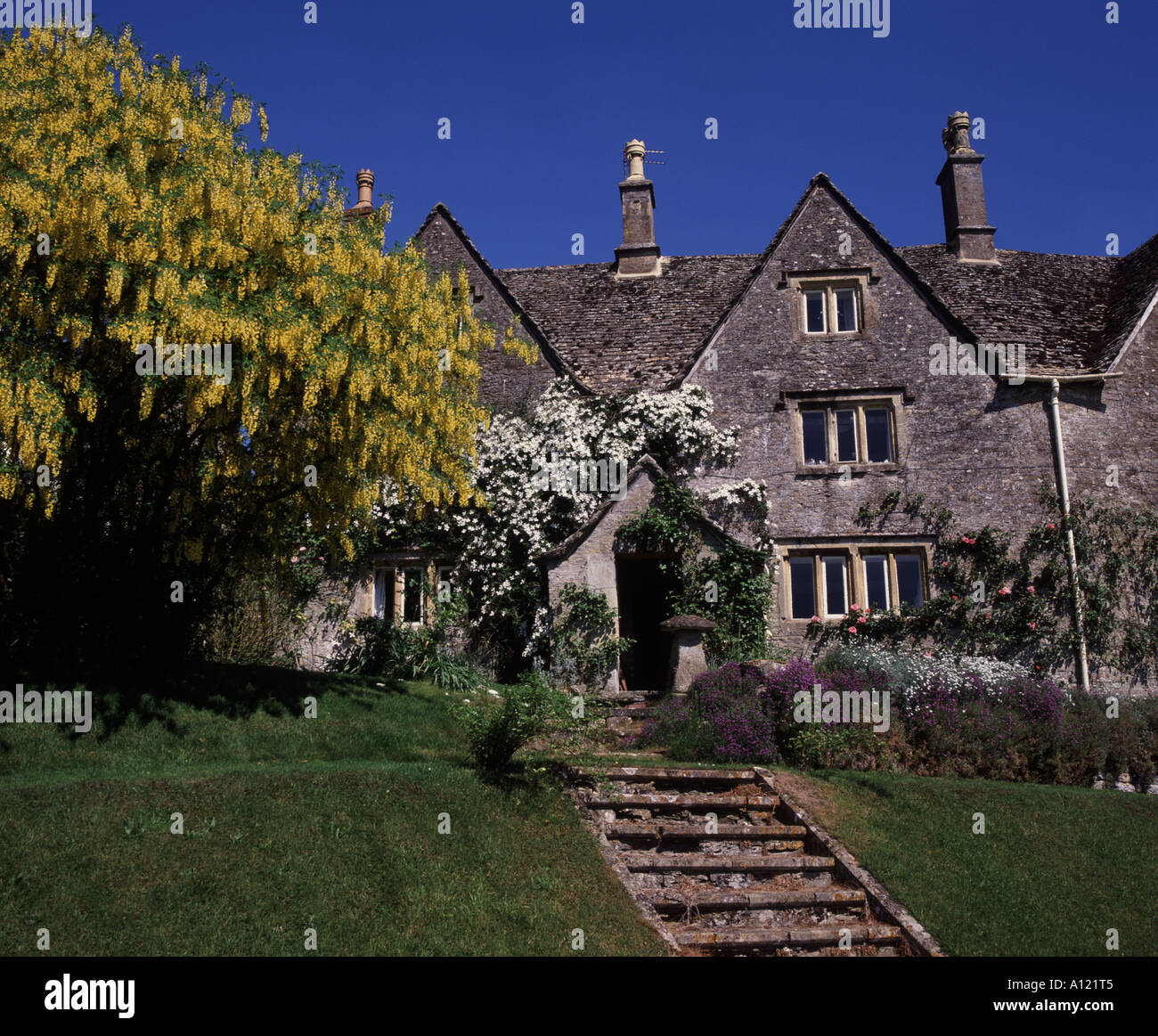 An old farmhouse with its Laburnum tree in the Cotswold village of ...