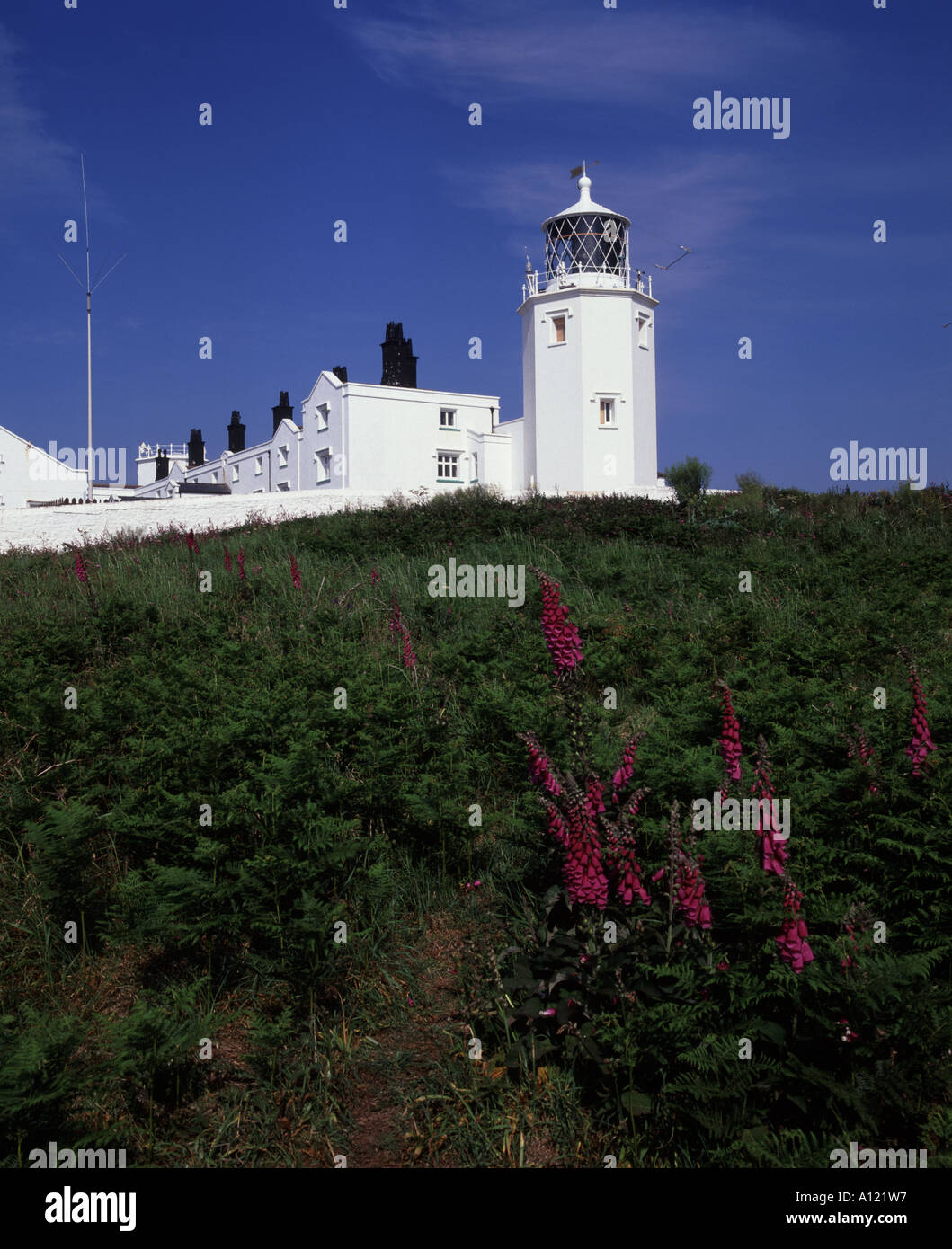 The Lighthouse on the dramatic coastline at Lizard Point in cornwall is ...