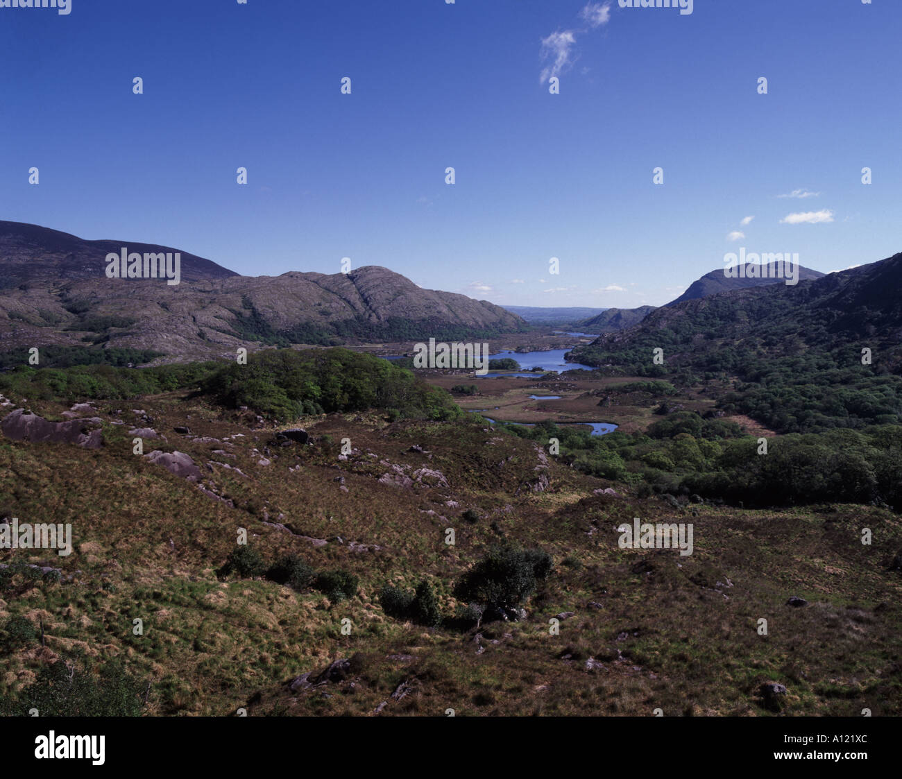 The picturesque Ladies View looking over the Killarney National Park ...