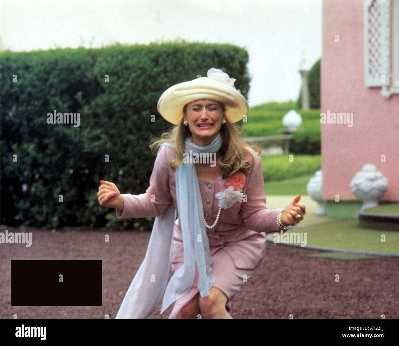 She Devil Year 1989 Director Susan Seidelman Meryl Streep Stock Photo ...
