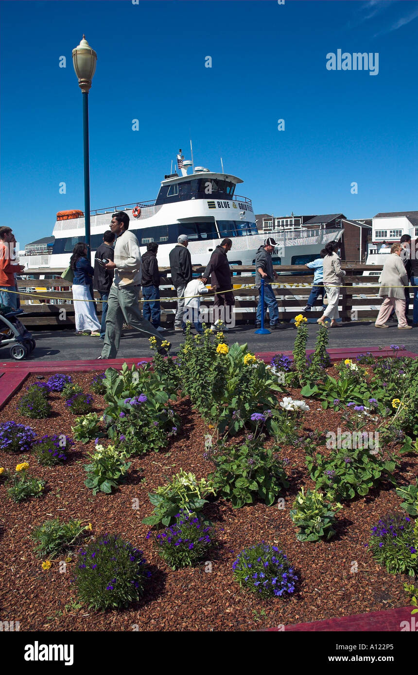 Bay cruiser San Francisco California USA Stock Photo - Alamy