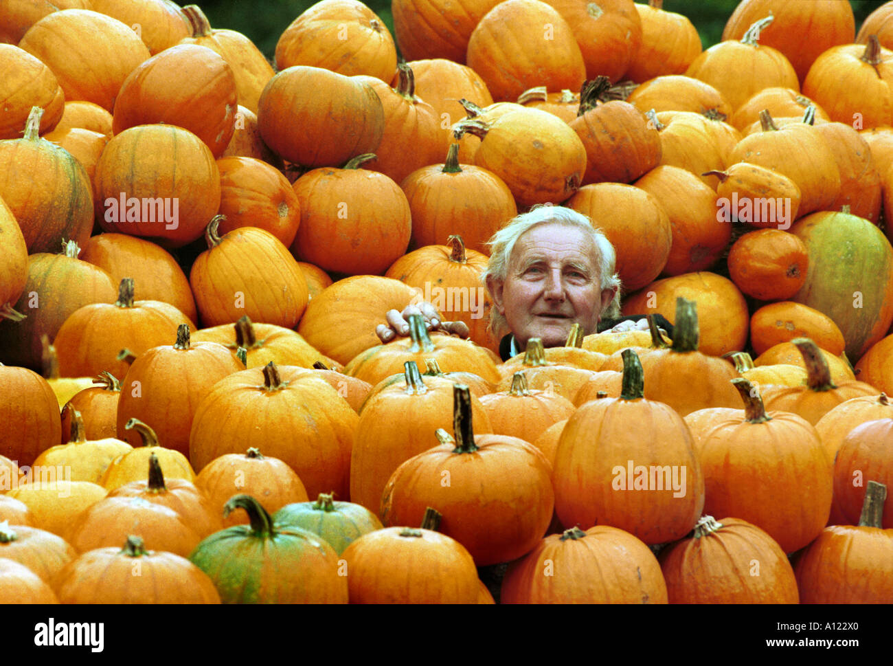 Slindon pumpkins hi-res stock photography and images - Alamy