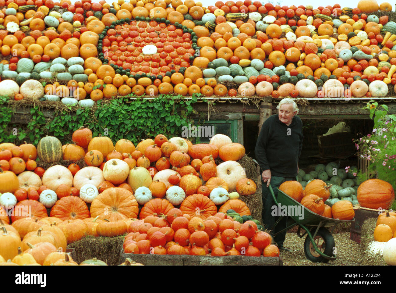 Ralph Upton with pumpkins for sale at Slindon UK Stock Photo - Alamy