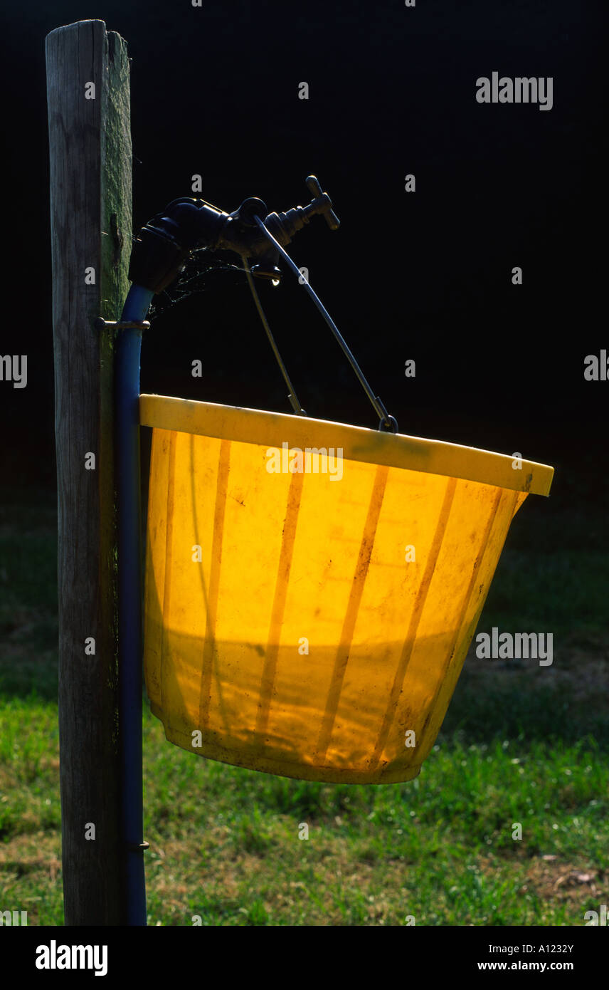 Water dripping into bucket hi-res stock photography and images - Alamy