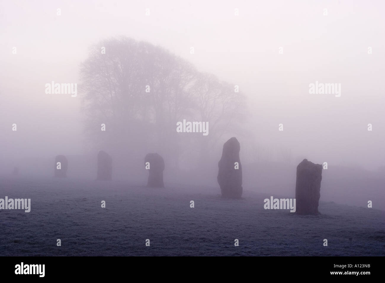 Trees in a circle hi-res stock photography and images - Alamy