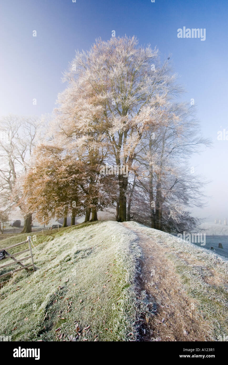 Avebury stone circle shrouded in fog on a frosty winter morning Stock ...