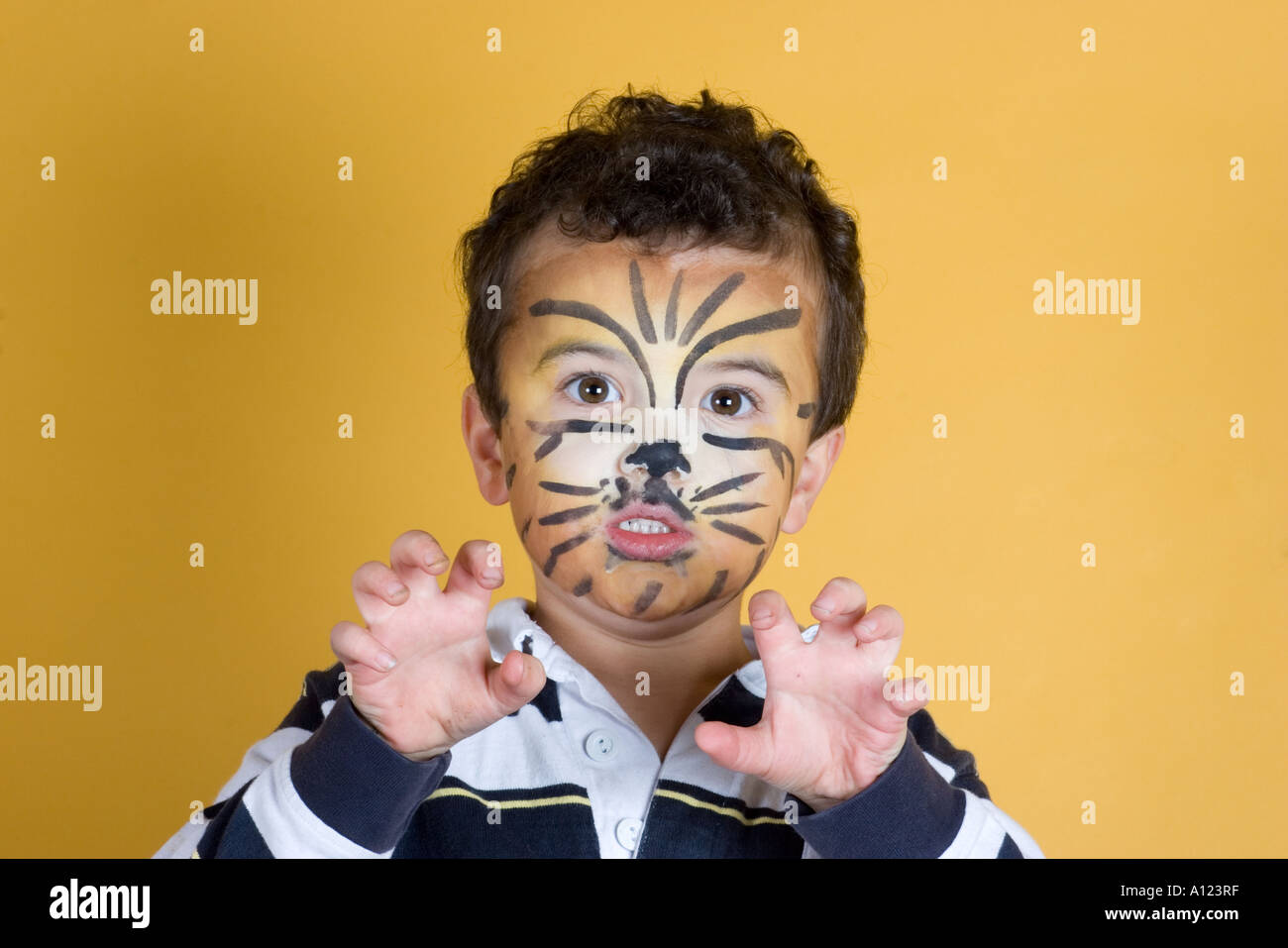 Studio shots of small boy wearing tiger face paint Stock Photo - Alamy