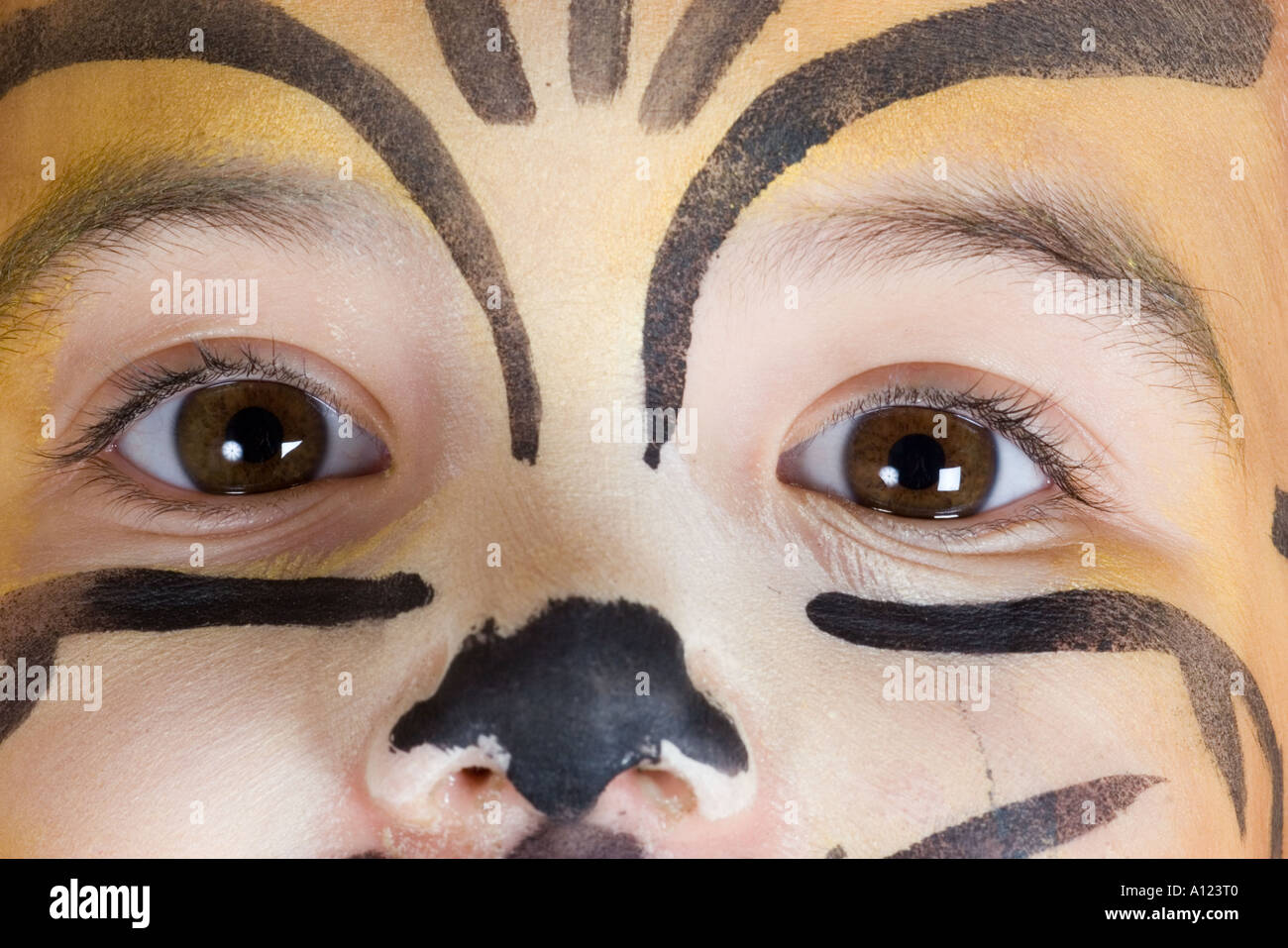 Studio shots of small boy wearing tiger face paint Stock Photo - Alamy
