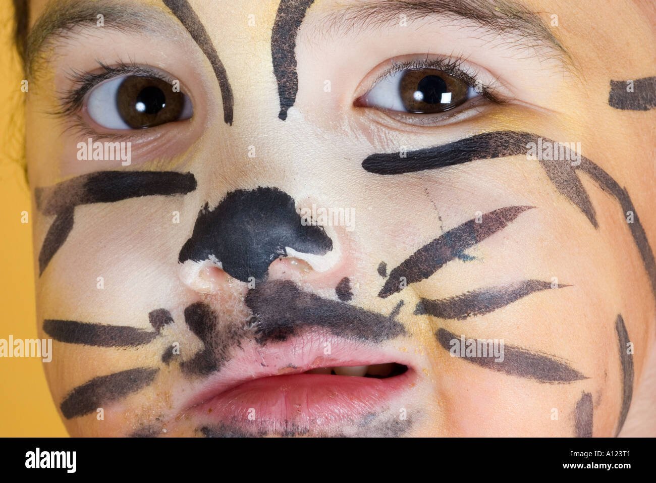 Studio shots of small boy wearing tiger face paint Stock Photo - Alamy