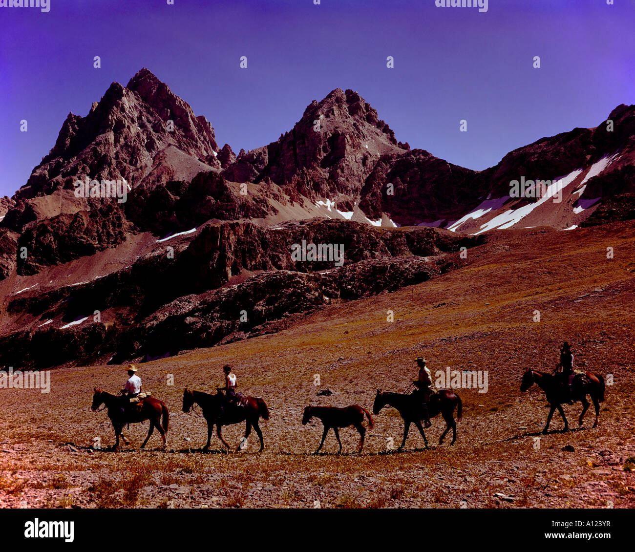 Pack Horse High Peak at Juliana Stclair blog