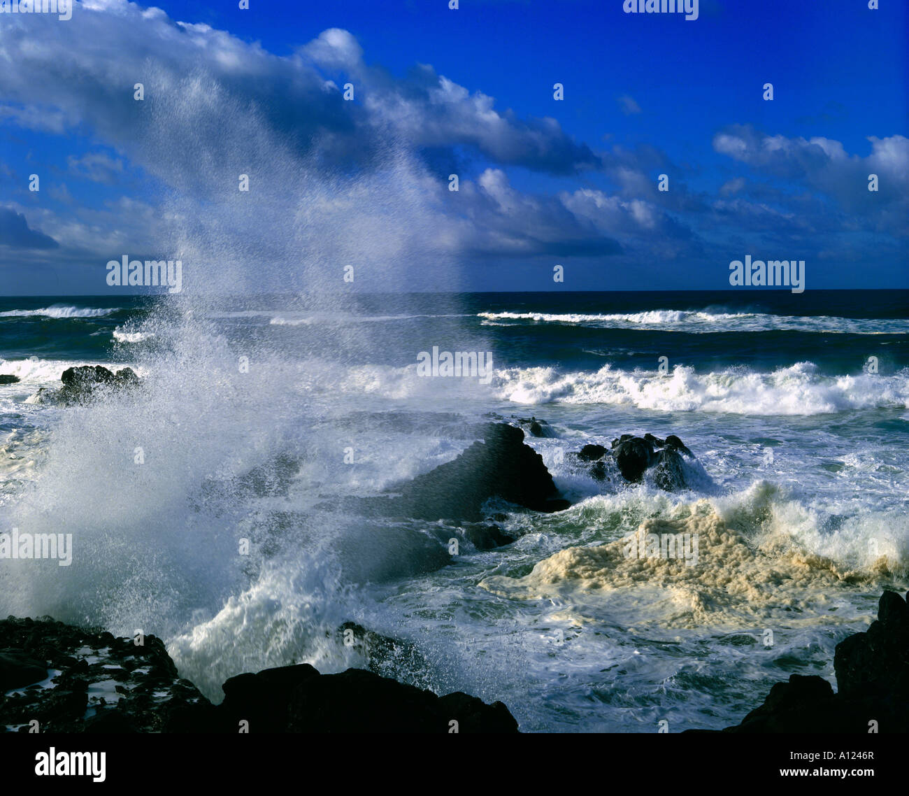 Surf crashes ashore in a swirl of mist and froth along the Oregon ...