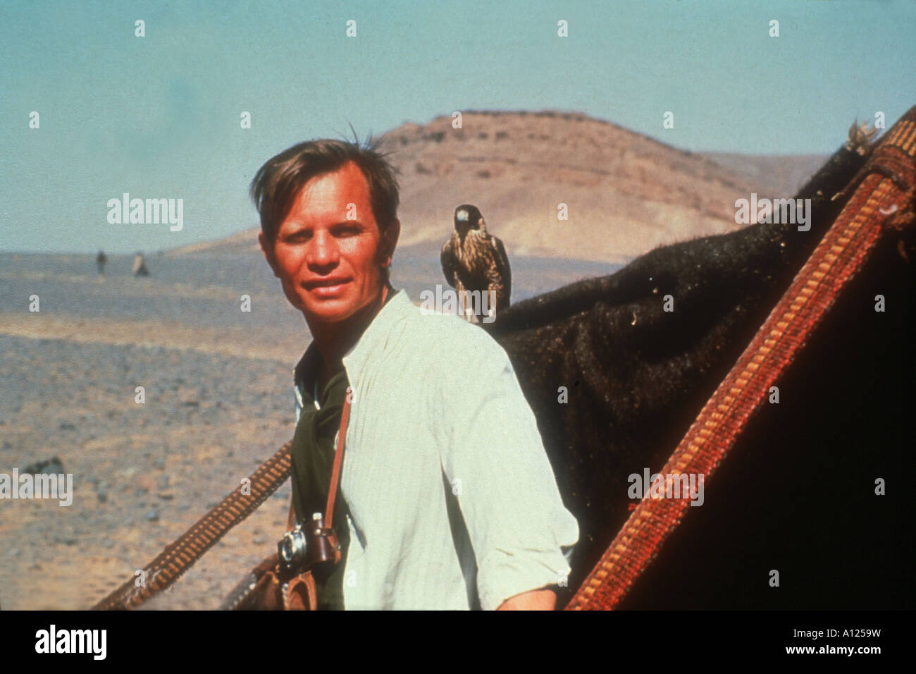 Michael York Actor Stock Photo - Alamy