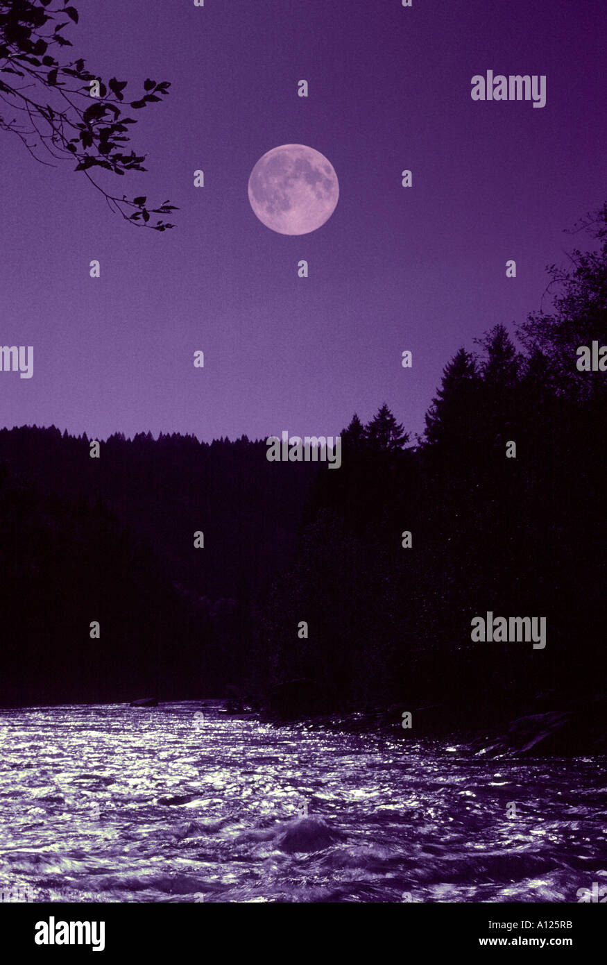 full moon and moonlight on river Martins Rapids McKenzie River Oregon ...