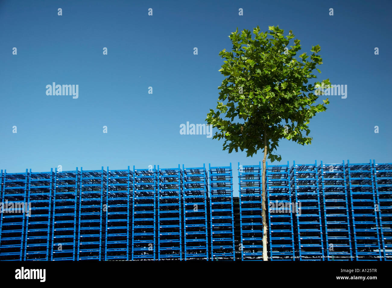 Stack of blue palettes Stock Photo - Alamy