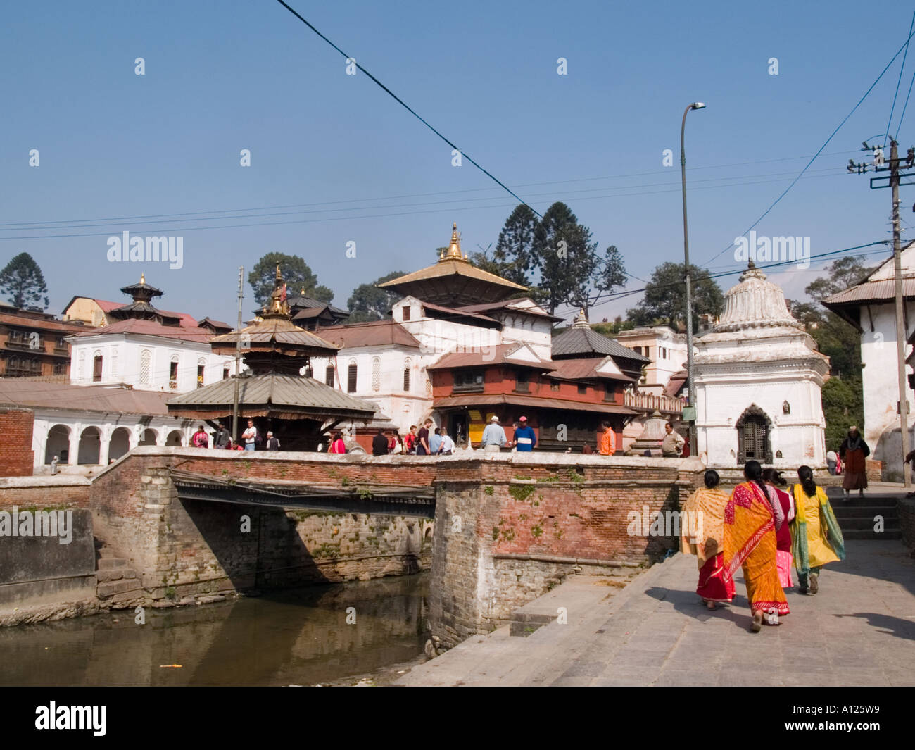 PASHUPATINATH TEMPLE COMPLEX from across the Bagmati River Kathmandu ...